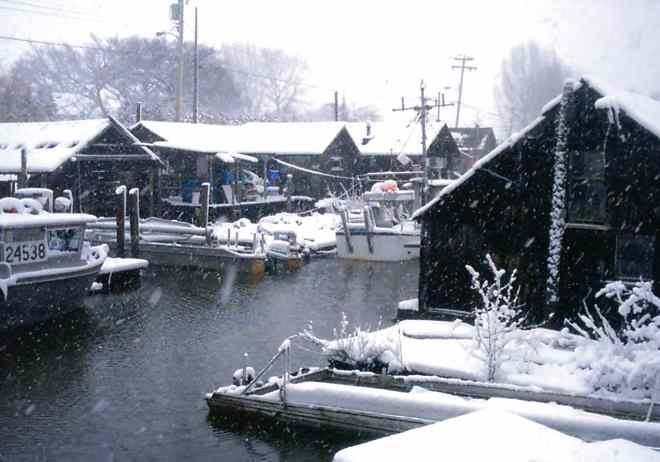Finn Slough In The Snow