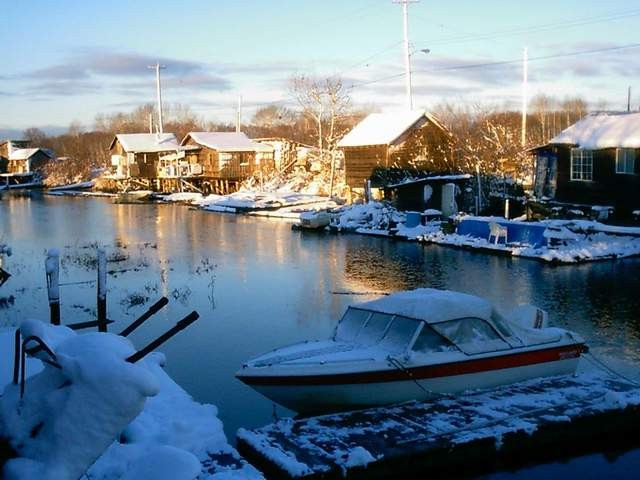 Finn Slough In The Snow