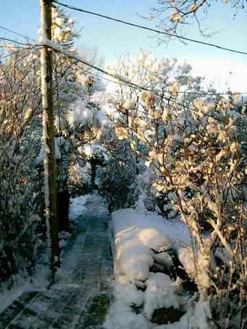 Finn Slough In The Snow